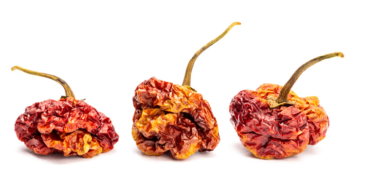 Trinidad moruga scorpion | Scorpionka